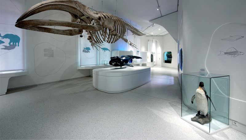 Museumsvitrinen - für jedes Museum die passende Vitrine